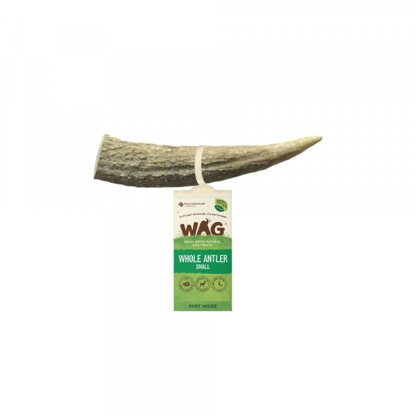 TREAT WAG ANTLER WHOLE – Pittwater Pets