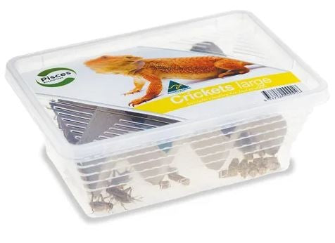 PISCES CRICKETS - LARGE – Pittwater Pets